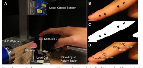 Figure 1 From Roles Of Force Cues And Proprioceptive Joint Angles In