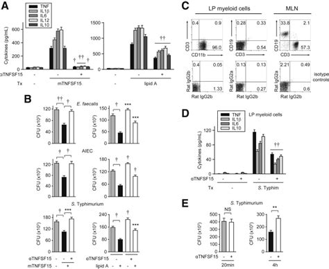 Tnfsf15 Promotes Antimicrobial Pathways In Human Macrophages And These Are Modulated By Tnfsf15