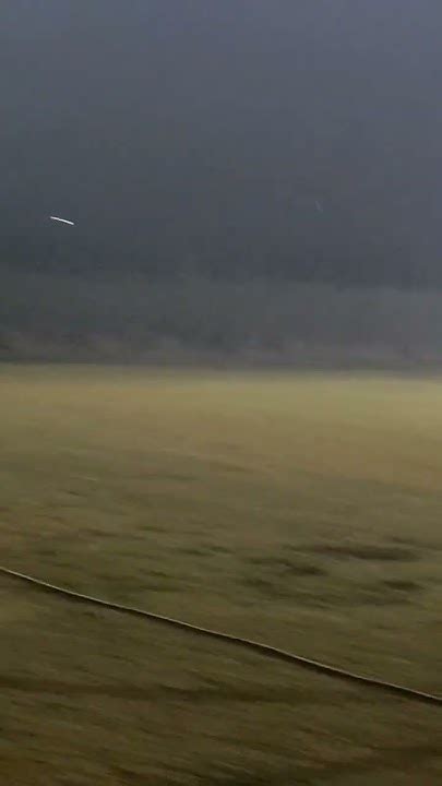 Beautiful Sex Cricketshorts Cricket Cricketlover Shorts