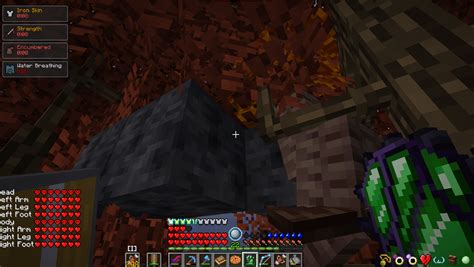 Chilling With My Soon To Be Tammed Roc Rrlcraft