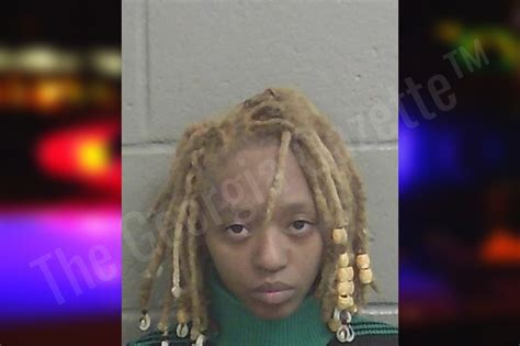 Deanna Panko — Wayne County Jail Bookings