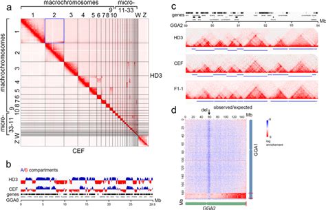 General Features Of High Throughput Chromatin Conformation Capture Download Scientific Diagram
