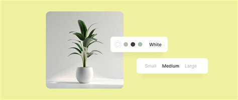 Build An Effective Product Taxonomy For Better Online Browsing 2024