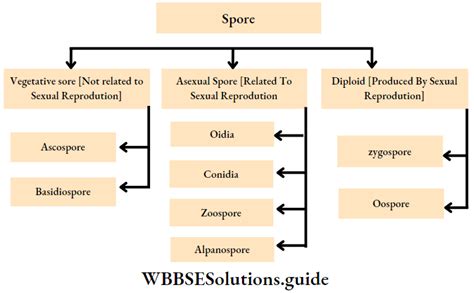 Biological Classification Important Notes Wbbse Solutions