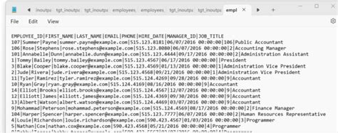 In Out Parameter In Iics Hireforceglobal