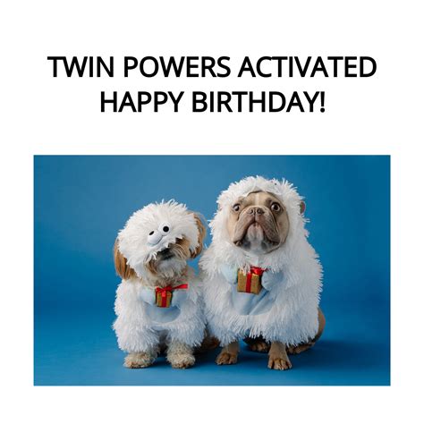 Free Happy Birthday Twins Meme Template To Edit Online