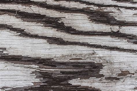 300 Wood Texture Wallpapers