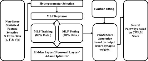 Non Linear Statistical Features P F And η²p Are Processed With Mlp Download Scientific