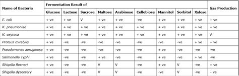 Sugar Fermentation Test Carbohydrate Fermentation Test