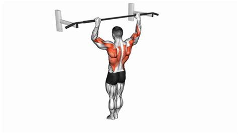 Archer Pull Ups Exercise Guide How To Muscles Worked And Variations