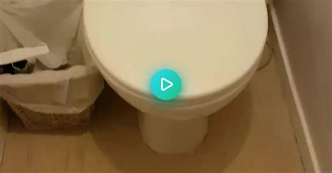 Monty Python And The Holy Toilet Roll Do Unmute Album On Imgur