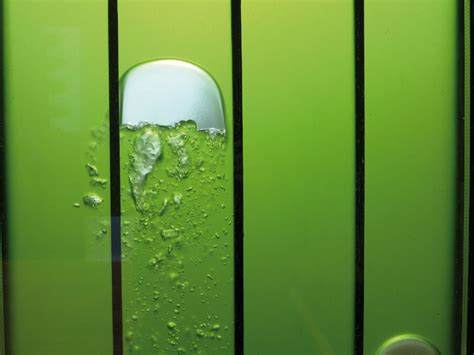 Algae Power Material Transformations Umn