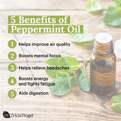 Peppermint Oil Medical Term At Benjamin Macbain Blog