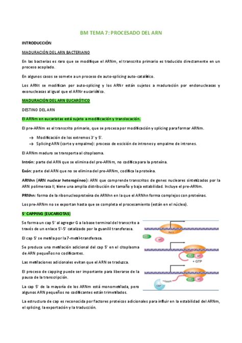 Apuntes De Procedimientos Constructivos De Elementos De Estructuras