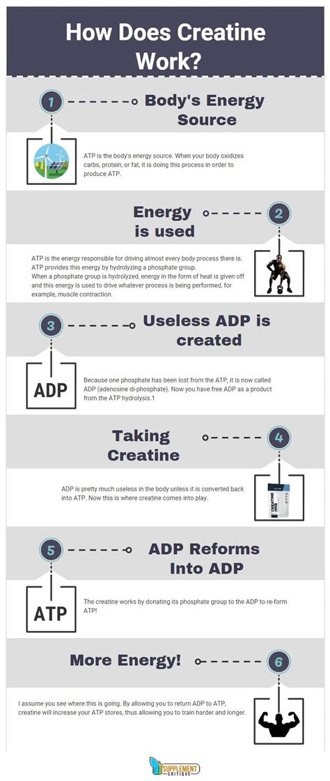 What Is Creatine What Does It Do How Does It Work