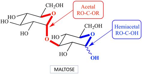 What Are The Functional Groups Present In The Structure Of Maltose