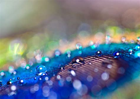 Epea Benelux On Linkedin Ahrend X Epea Cradle To Cradle Innovation