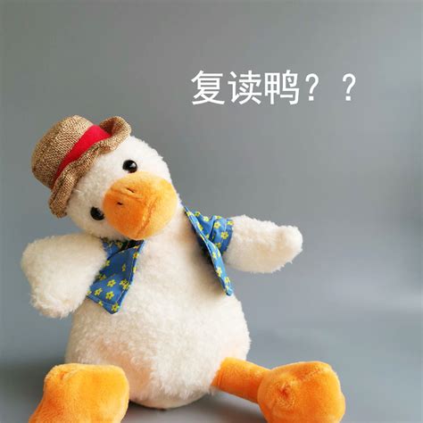 复读鸭模式复读鸭大山谷图库