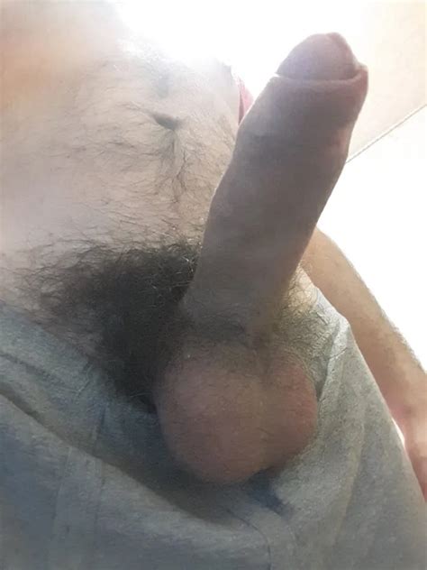 My Huge Hairy Cock And Balls Pics Xhamster