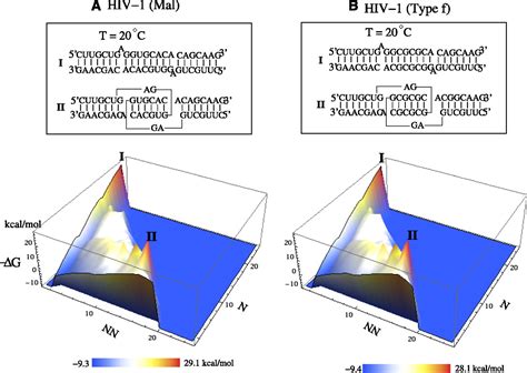 Structure And Stability Of Rnarna Kissing Complex With Application To