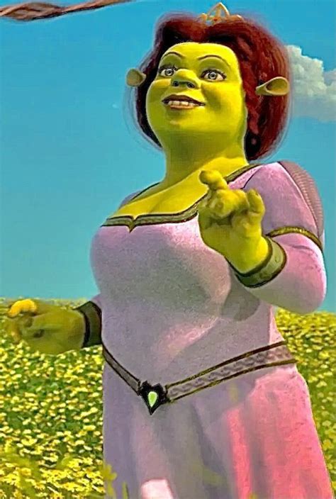 Princess Fiona From Shrek Cosplay Artofit