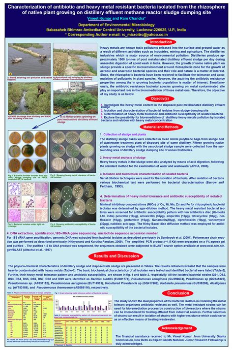 Pdf Characterization Of Antibiotic And Heavy Metal Resistant Bacteria Isolated From The