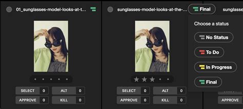 Asset Status Globaledit Support