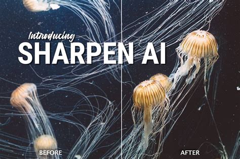 Topaz Video Enhance Ai Hereufil
