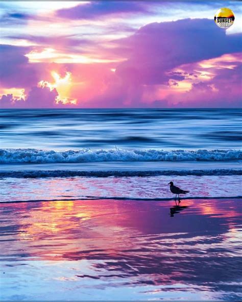 Mi Piace 1640 Commenti 43 Total Sunset Totalsunset Su Instagram 180520 🌇 🌞 🌤 ⛅