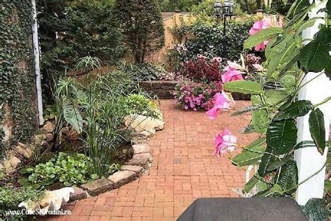 Imagini Cascada Si Iaz N000002