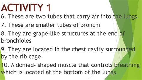 Respiratory System Grade 6pptx