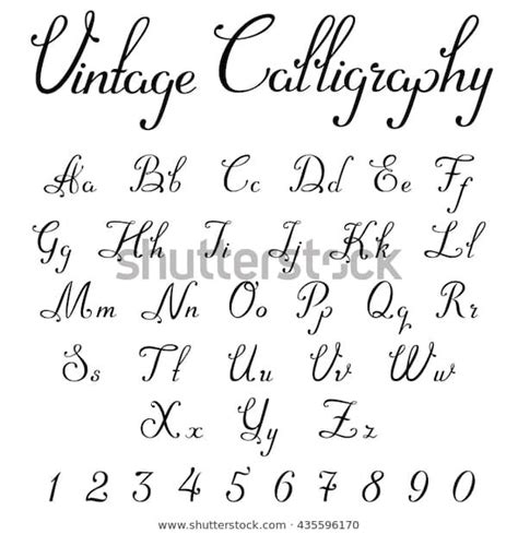 Vintage Calligraphic Script Font Linear Vector Stock Vector Royalty
