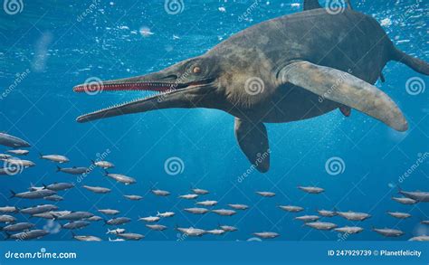 Ichthyosaur Swimming In The Ocean Extinct Marine Reptile From Early