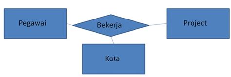 xleropedia basecamp entity relationship diagram erd binary enary