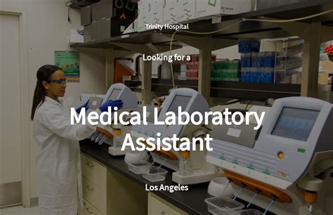 Duties And Responsibilities Of A Medical Laboratory Assistant At Hanna