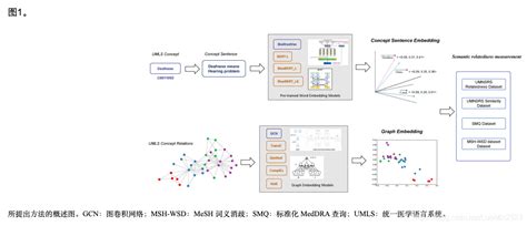 使用词和图嵌入来衡量统一医学语言系统概念之间的语义相关性biowordvec Csdn博客
