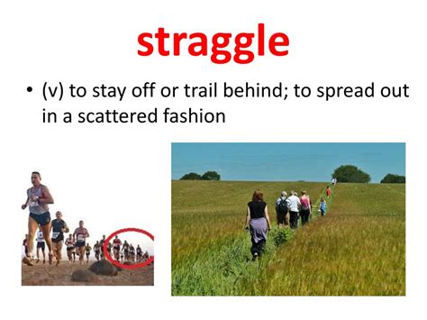 Vocabulary Unit Ppt Download