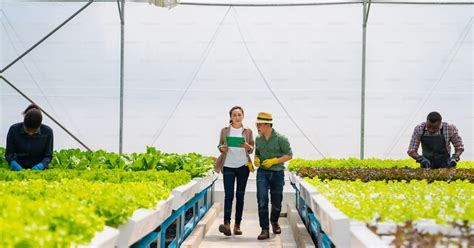 유기농 채소 수경 농장에서 일하는 아시아 부부 농부 남자와 여자 수경 샐러드 정원 주인은 온실 농장에서 야채의 품질을 확인합니다 식품 생산 중소기업 개념입니다 사진