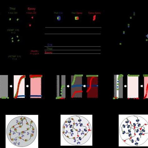 Ternary Sequential Reaction Scheme A The Polymer Precursors Of Our