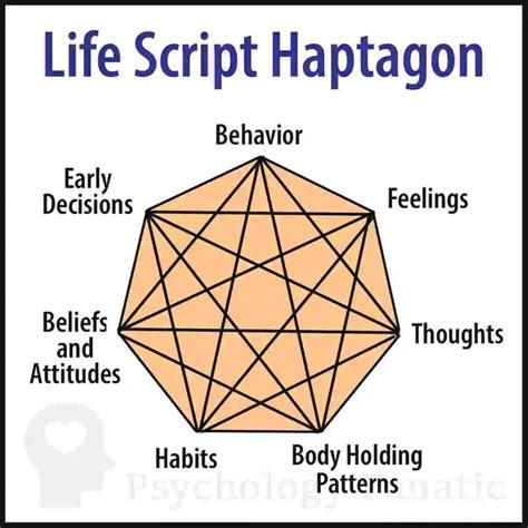 The Impact Of Life Script Theory On Behavior And Relationships