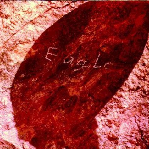 Marcelo Lima Youtube