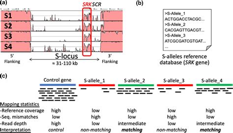 Whole‐genome Sequencing And Genome Regions Of Special Interest Lessons