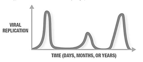 Microbes Practice Questions Exam 2 Flashcards Quizlet