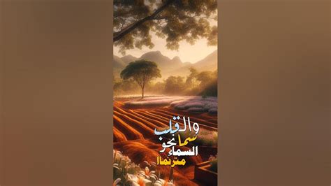 يا نور الهلال أقبل تعال فالشوق طال أنشودة Youtube