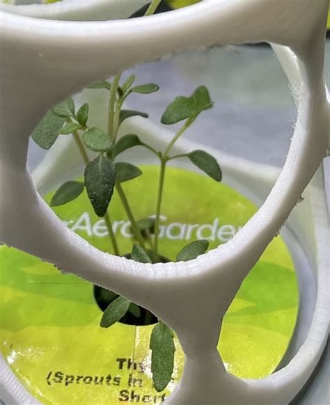 Aerogarden Seedling Support Stackable By Makercameron Download