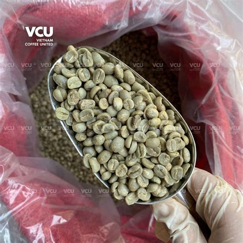 Arabica Green Beans Coffee Vcu Vietnam Coffee United
