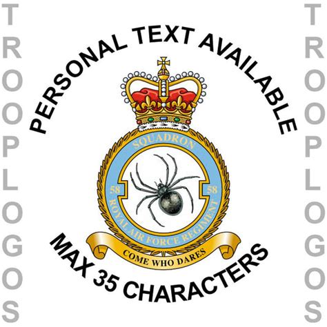 58 Sqn Raf Regiment Troop Logos