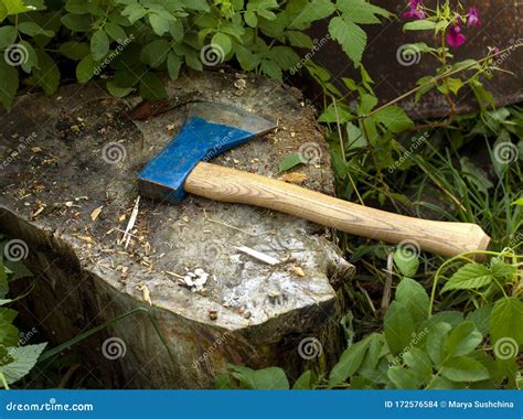 The Old Axe And Chopping Block For Chopping Wood With Axe The Cutting