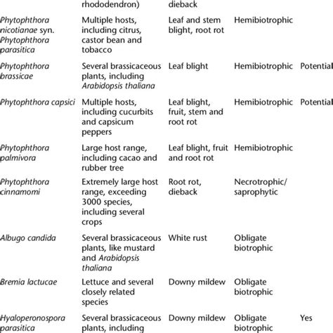 Oomycete Diseases And Model Systems Download Scientific Diagram