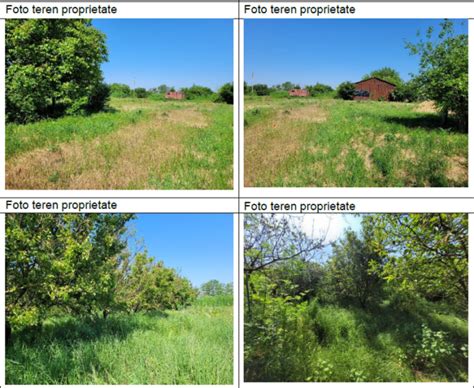 Teren Intravilan Si Constructii Localitatea Chiselet Jud Călărași
